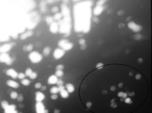 Pinhole Images of the Sun - PBL Projects